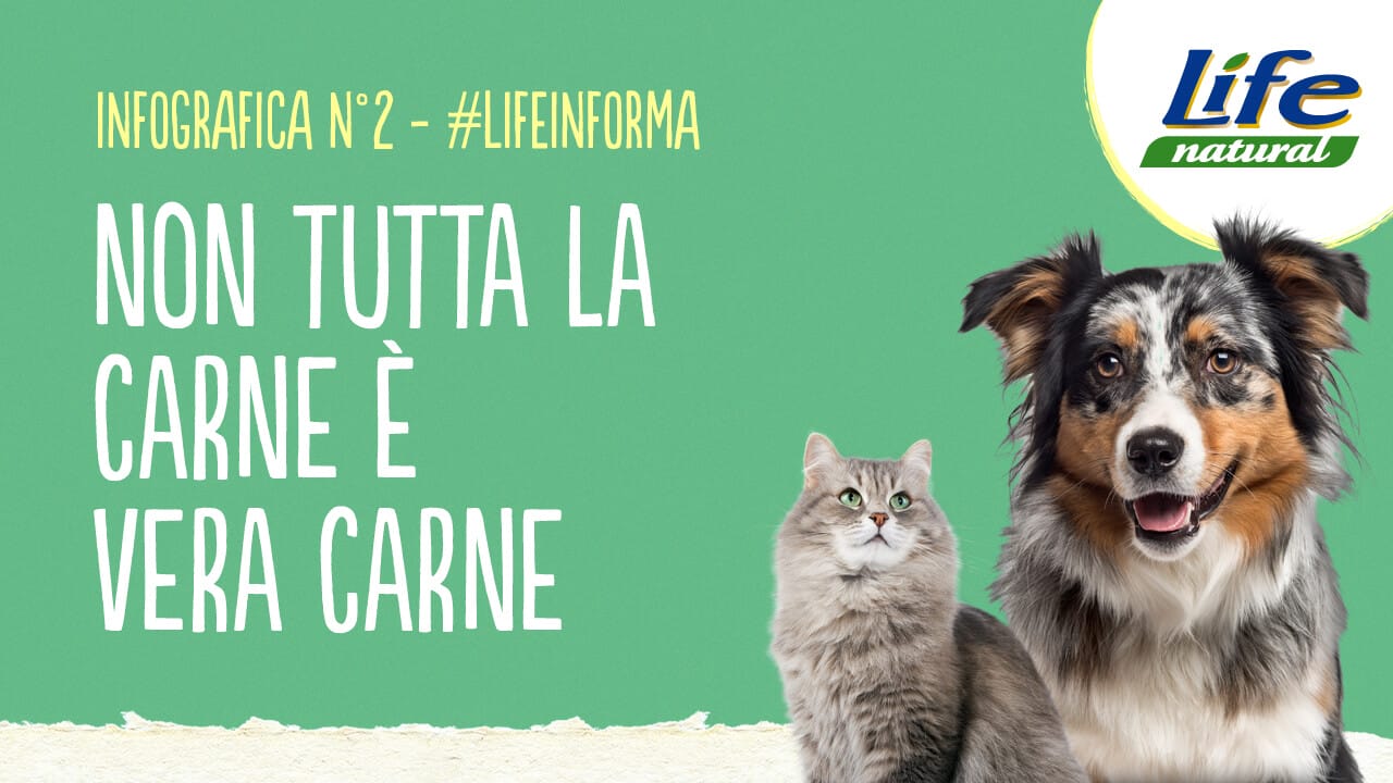 # 2 - NOT ALL MEAT IS REAL MEAT - Life Natural