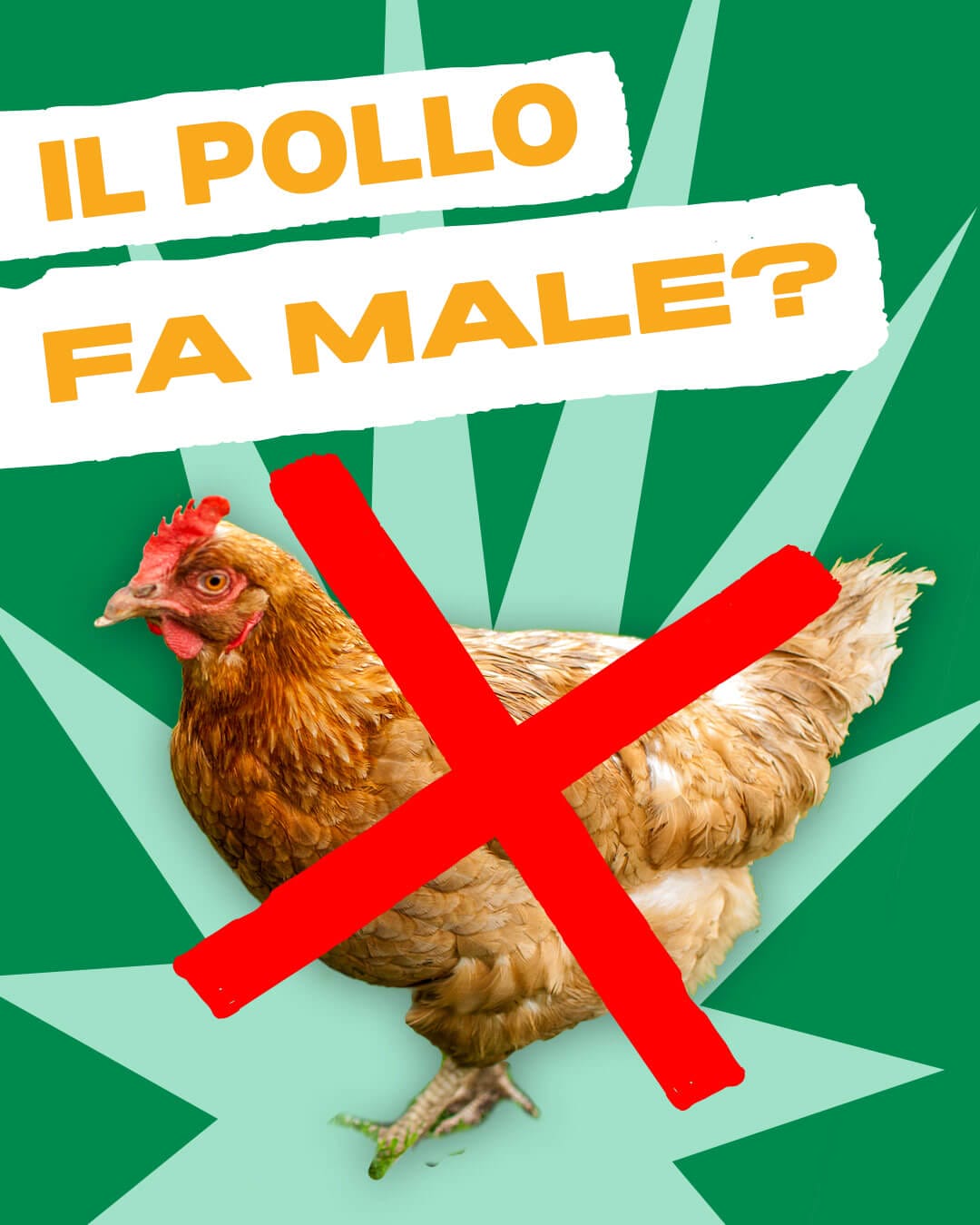 FAKE NEWS: does chicken meat really cause allergies? - Life Natural